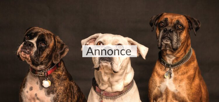 Trendsonline - Trendsonline.dk